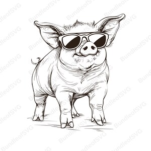 Pig With Sunglasses SVG Bundle, Pig Wearing Sunglasses Png, Cool Pig ...