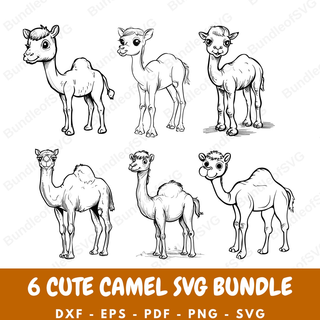 Camel Printable Coloring Svg Bundle - Baby Camel Svg - Camel Svg Bundle - Cute Camel Svg Bundle ...