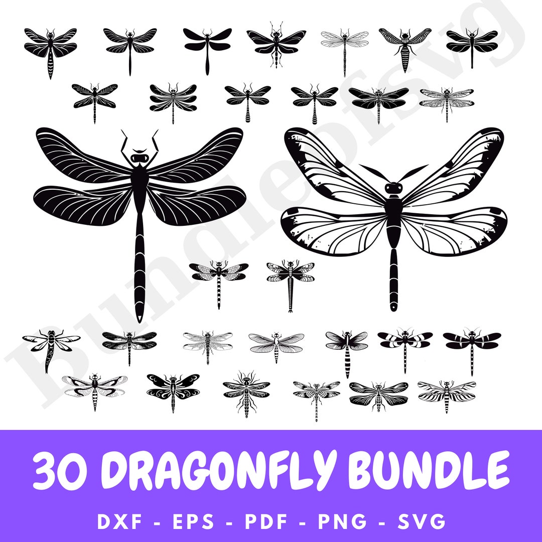 Dragonfly SVG Bundle, Dragonfly SVG Cut Files for Cricut, Dragonfly PNG ...