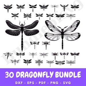 Dragonfly SVG Bundle, Dragonfly SVG Cut Files for Cricut, Dragonfly PNG Bundle, Insect Svg ...