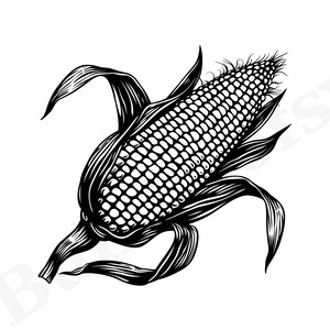 Corn SVG Bundle - Corn Cob Svg Bundle - Corn Clipart - Farm Svg ...