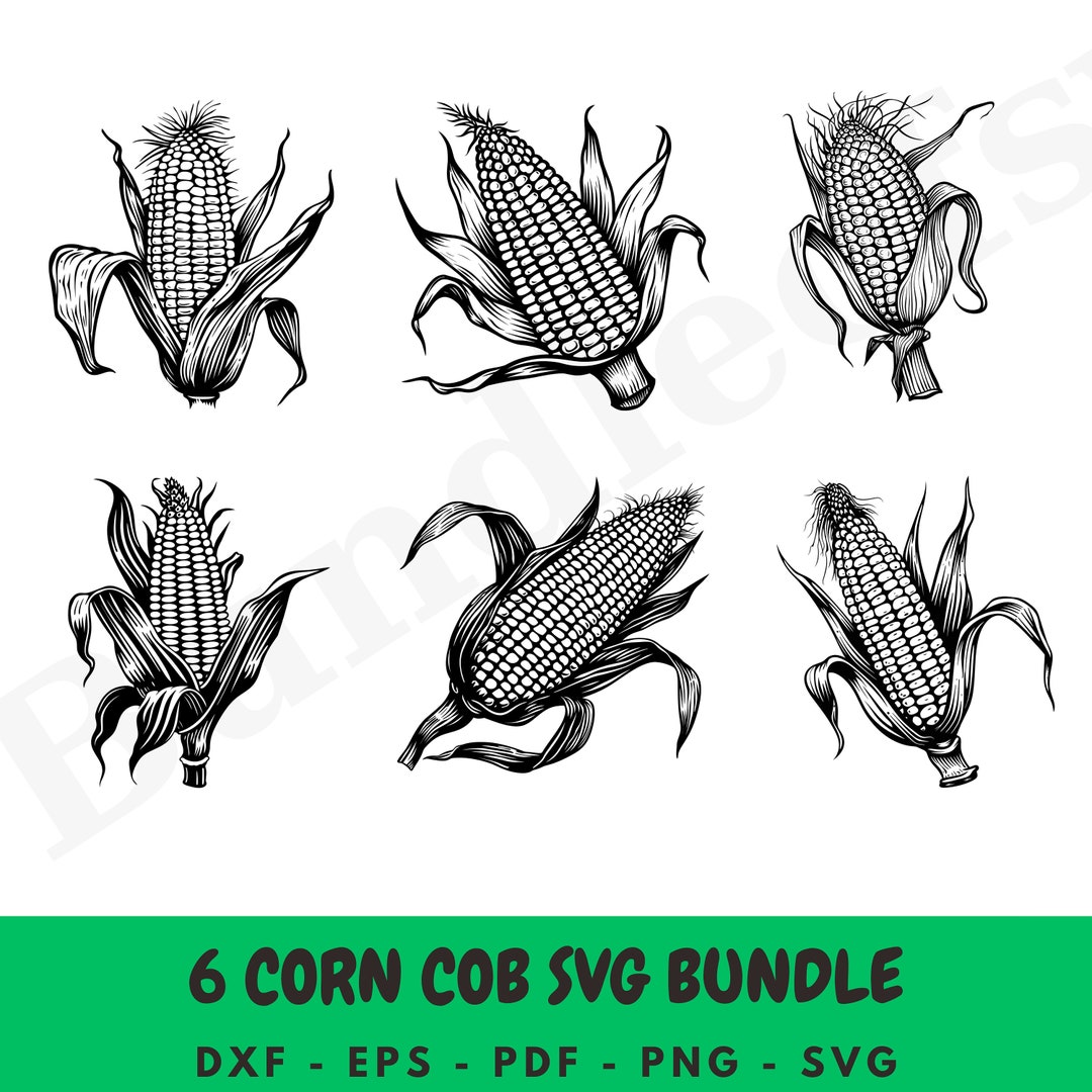 Corn SVG Bundle - Corn Cob Svg Bundle - Corn Clipart - Farm Svg ...