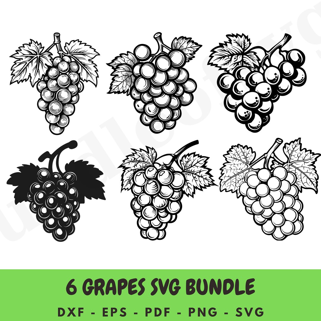 Juicy Grape SVG Bundle - Perfect for Cricut and Silhouette - Wine Svg ...