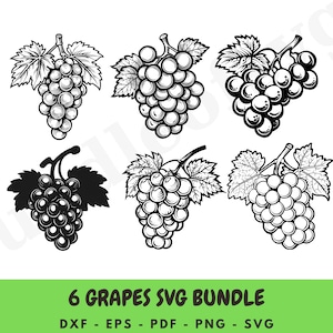 Juicy Grape SVG Bundle - Perfect for Cricut and Silhouette - Wine Svg Bundle - Fruit SVG, Wine ...