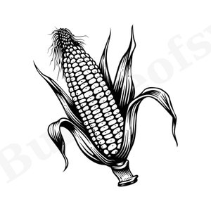 Corn SVG Bundle - Corn Cob Svg Bundle - Corn Clipart - Farm Svg ...