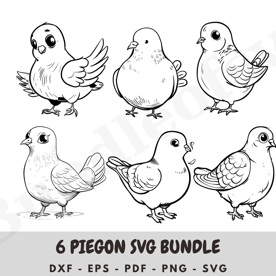 Pigeon SVG Bundle - Pigeon Png - Cute Pigeon Svg Bundle - Cute Baby ...