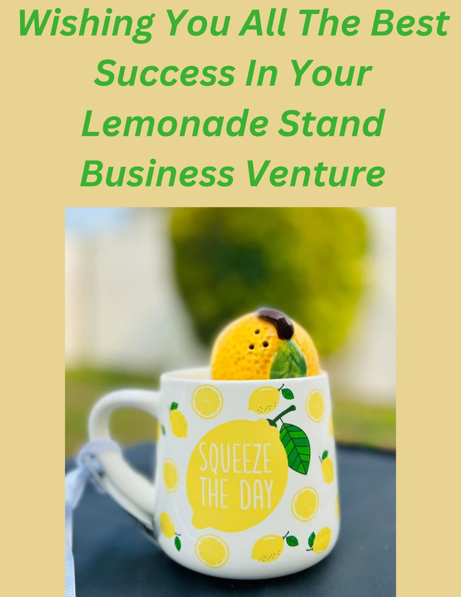 How to Run A Lemonade Stand: Your Child's First Business - Etsy