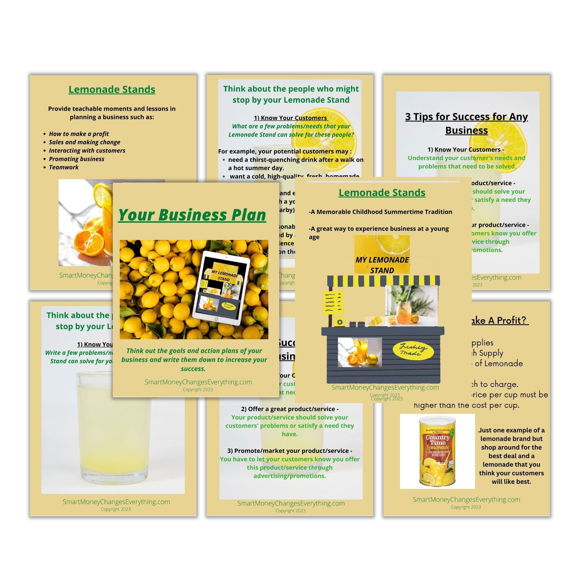 How to Run A Lemonade Stand: Your Child's First Business - Etsy