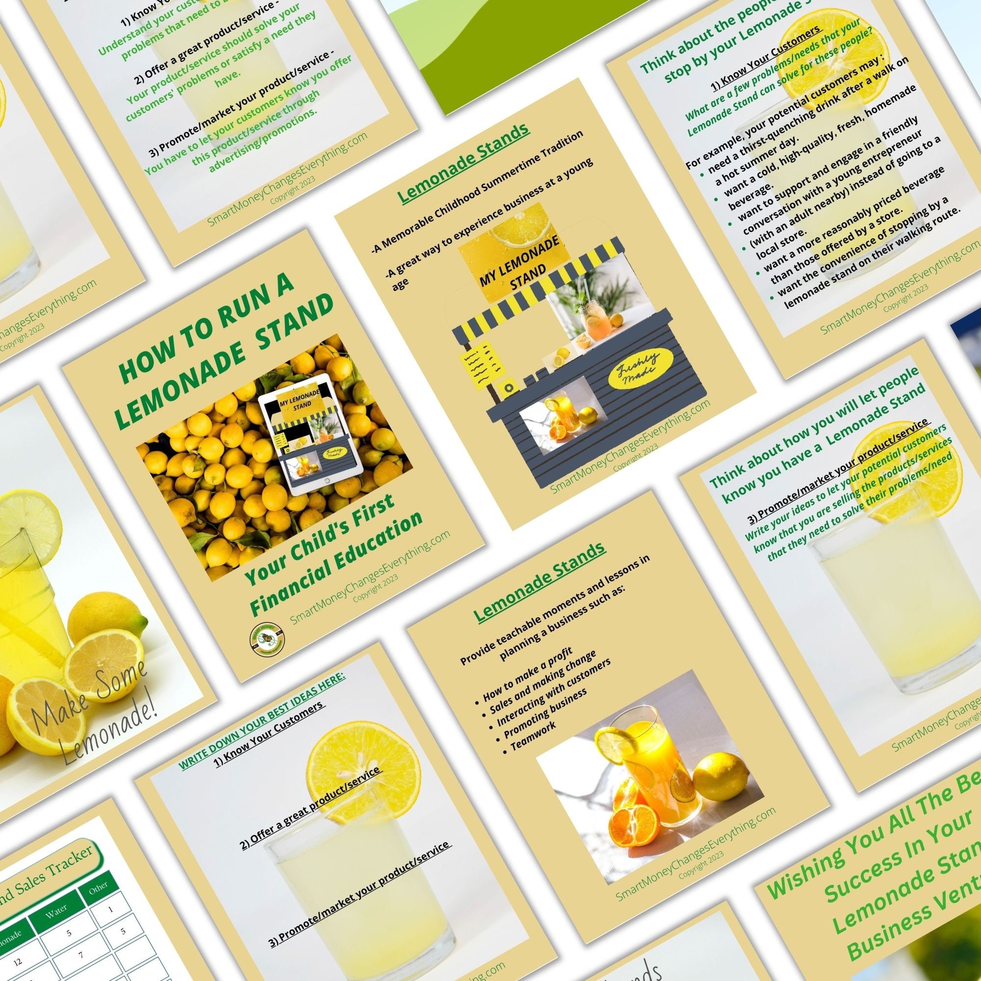 How to Run A Lemonade Stand: Your Child's First Business - Etsy