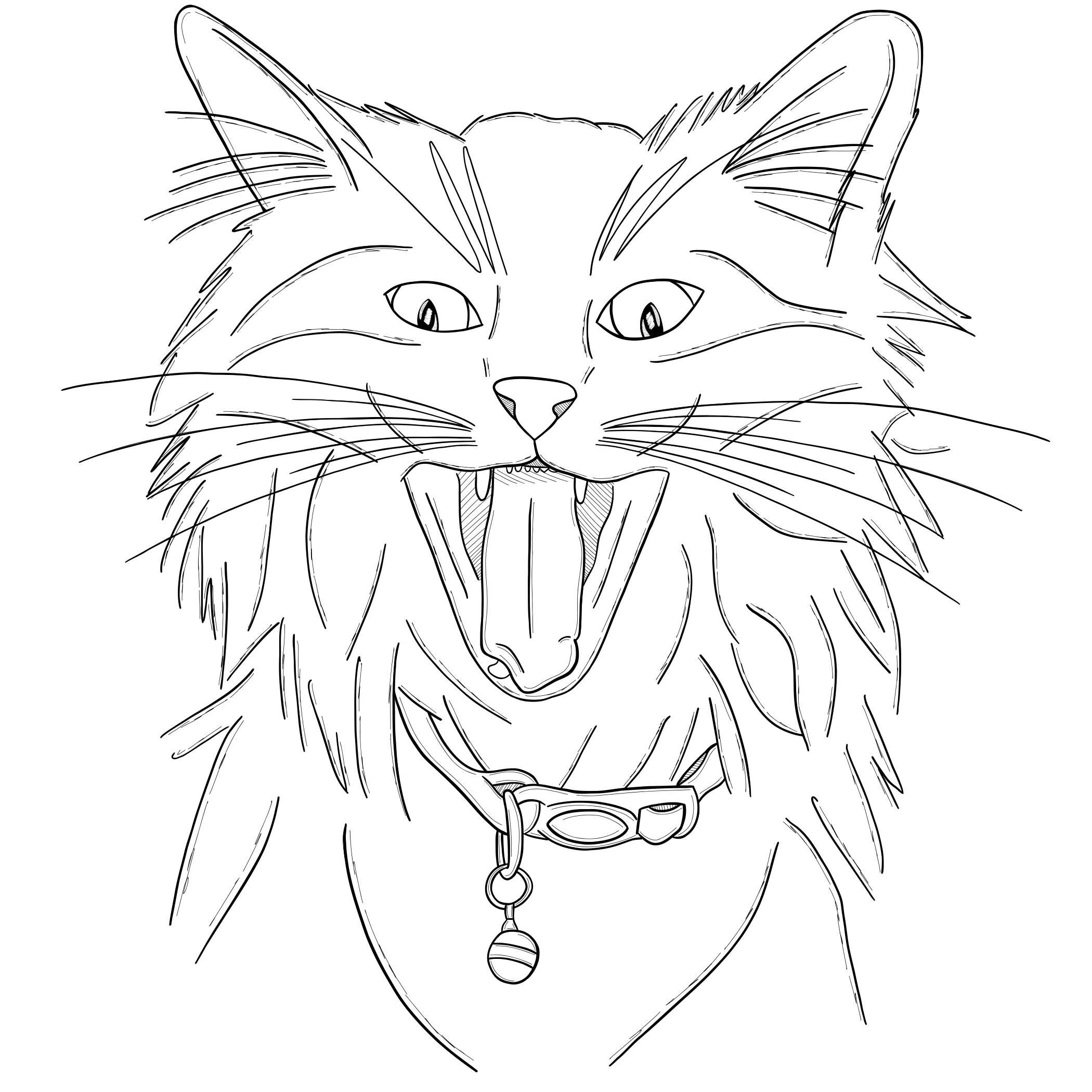 Custom Cat Doodle, Pet Illustration - Etsy