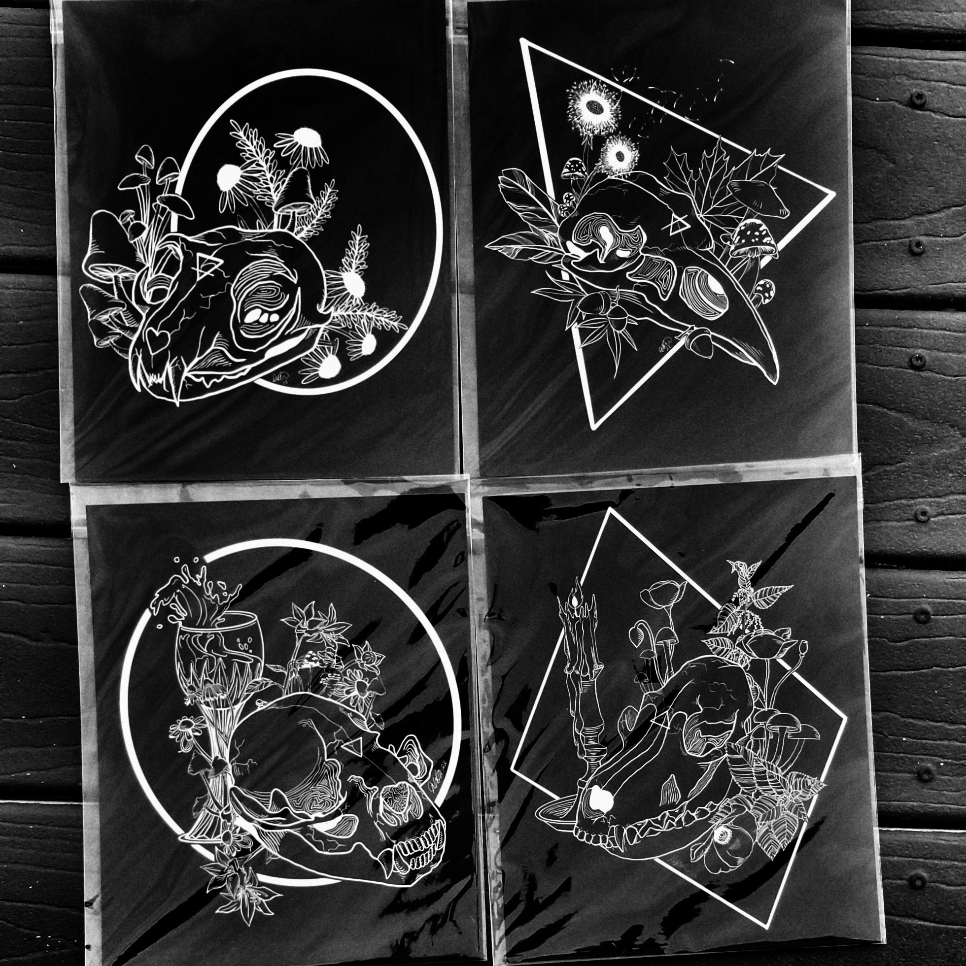 Elemental Cat Skull Limited Edition Illustration, Animal Skull Print ...