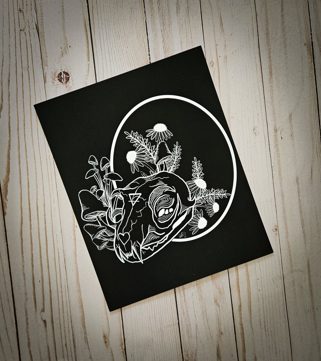 Elemental Cat Skull Limited Edition Illustration, Animal Skull Print ...