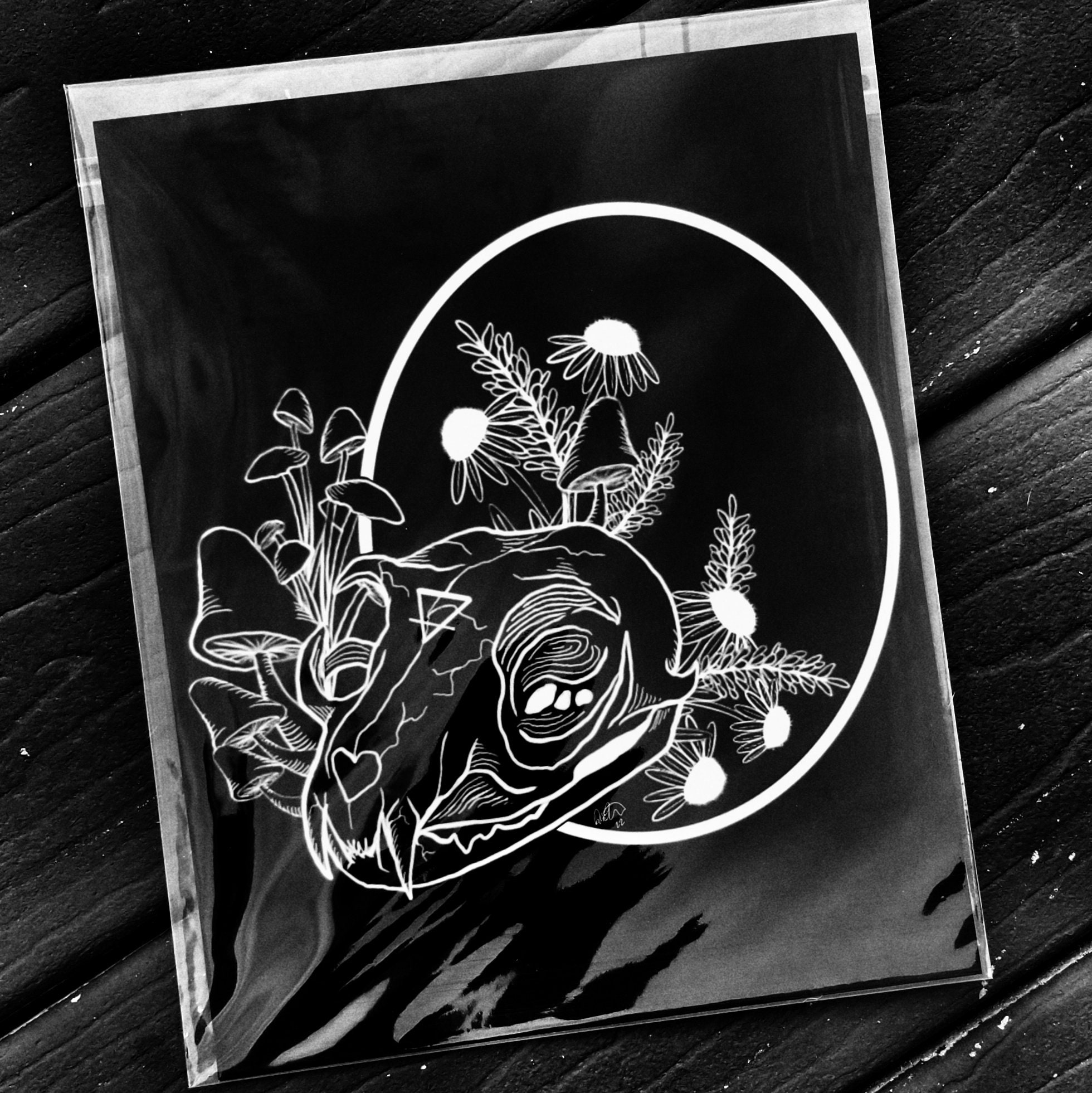 Elemental Cat Skull Limited Edition Illustration, Animal Skull Print ...