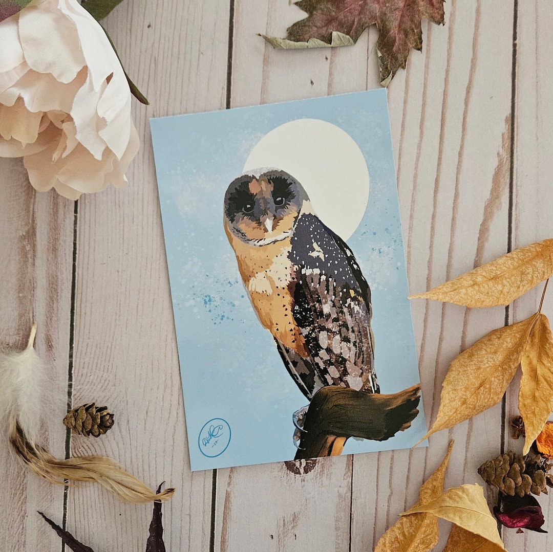 Desert Sentry Standard Postcard, Owl, Bird, Stationery, Art Prints, Art ...