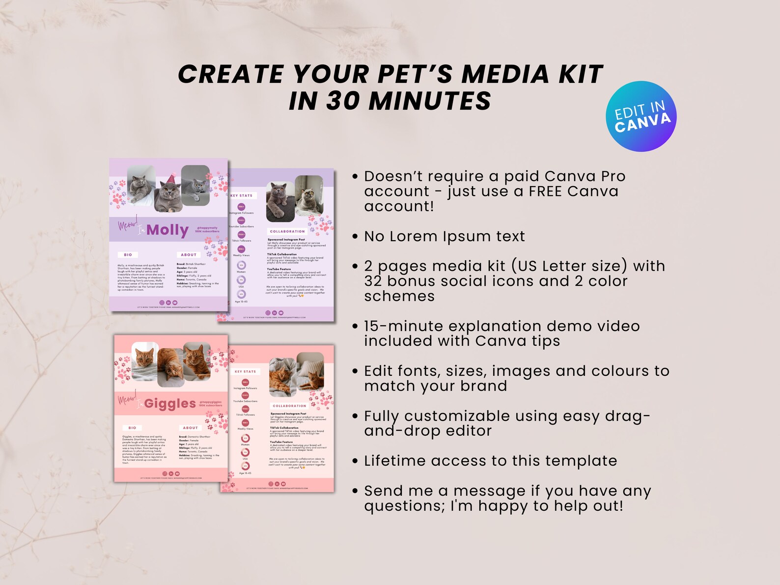 Pet Influencer Media Kit Canva Template Cat Pet Media Kit Rate Sheet ...