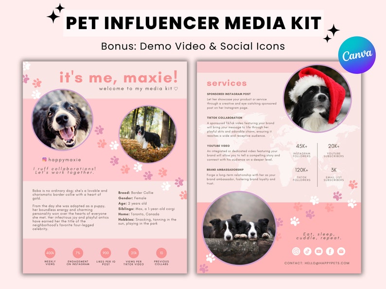 Pet Influencer Media Kit Canva Template Dogfluencer Pet Media Kit Rate ...