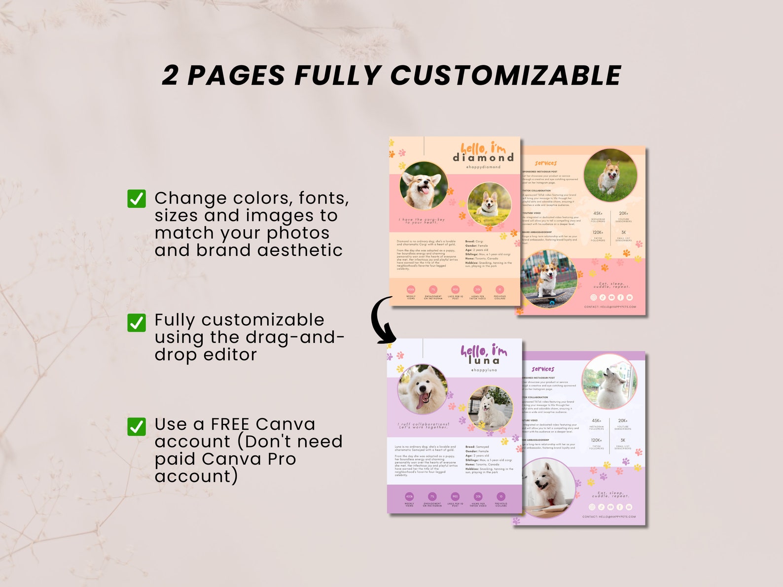 Pet Influencer Media Kit Canva Template Dogfluencer Pet Media Kit Rate ...