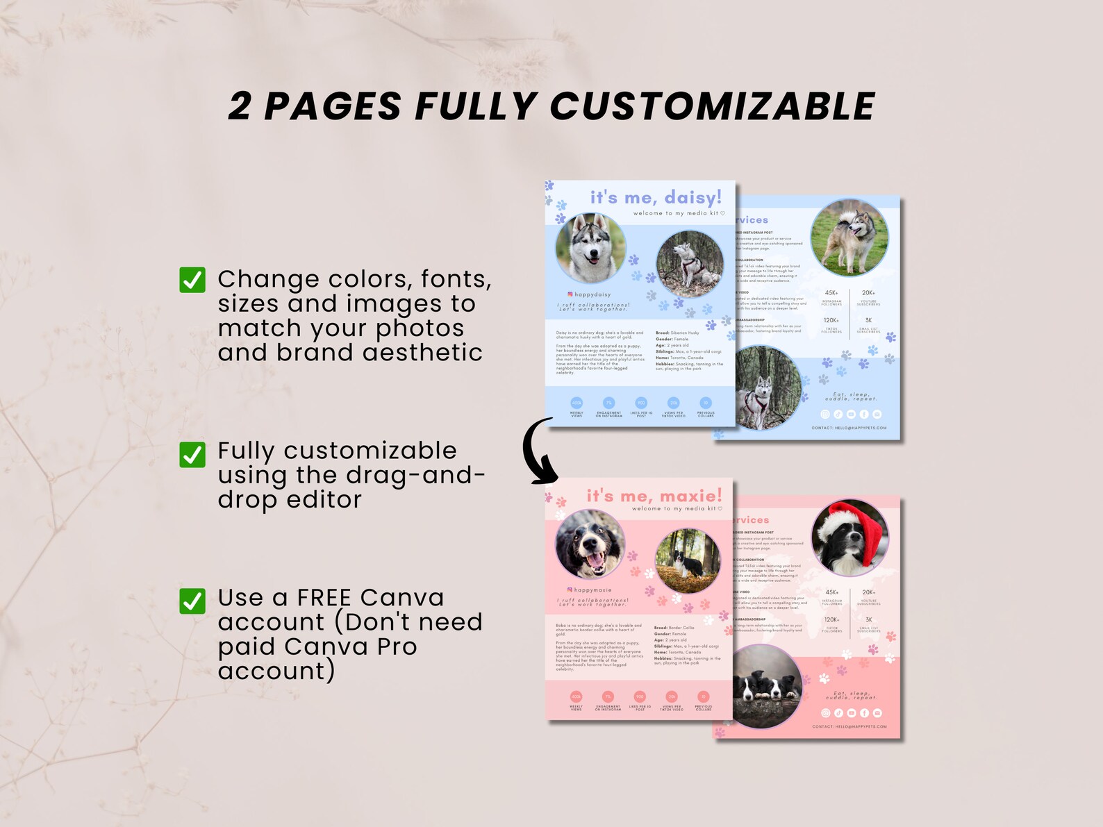 Pet Influencer Media Kit Canva Template Dogfluencer Pet Media Kit Rate ...