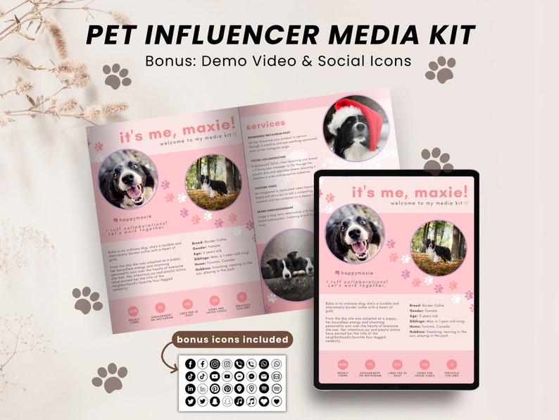 Pet Influencer Media Kit Canva Template Dogfluencer Pet Media Kit Rate ...