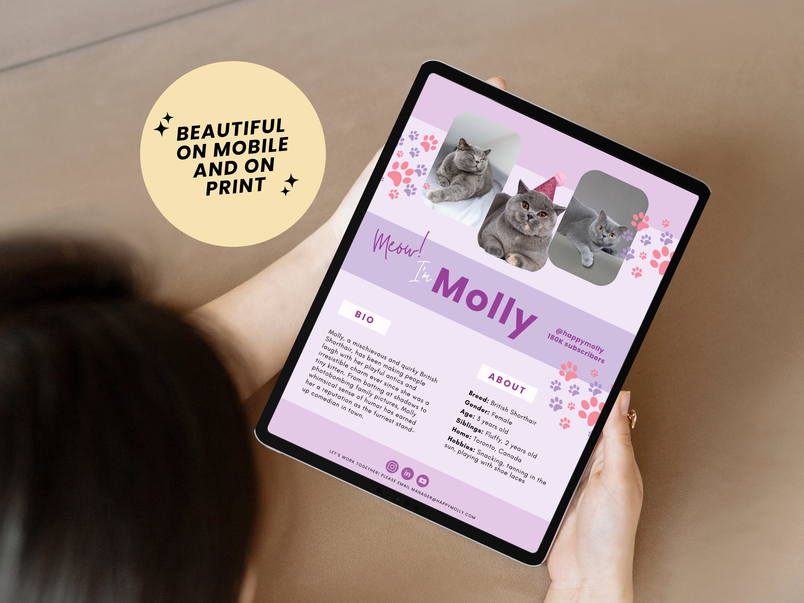 Pet Influencer Media Kit Canva Template Cat Pet Media Kit Rate Sheet ...