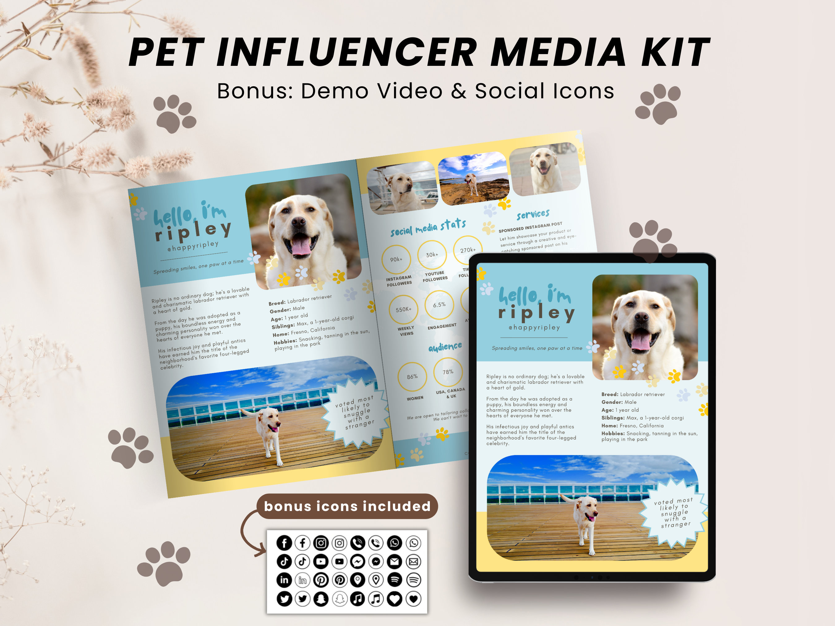 Pet Influencer Media Kit Canva Template Dogfluencer Pet Media Kit Rate ...