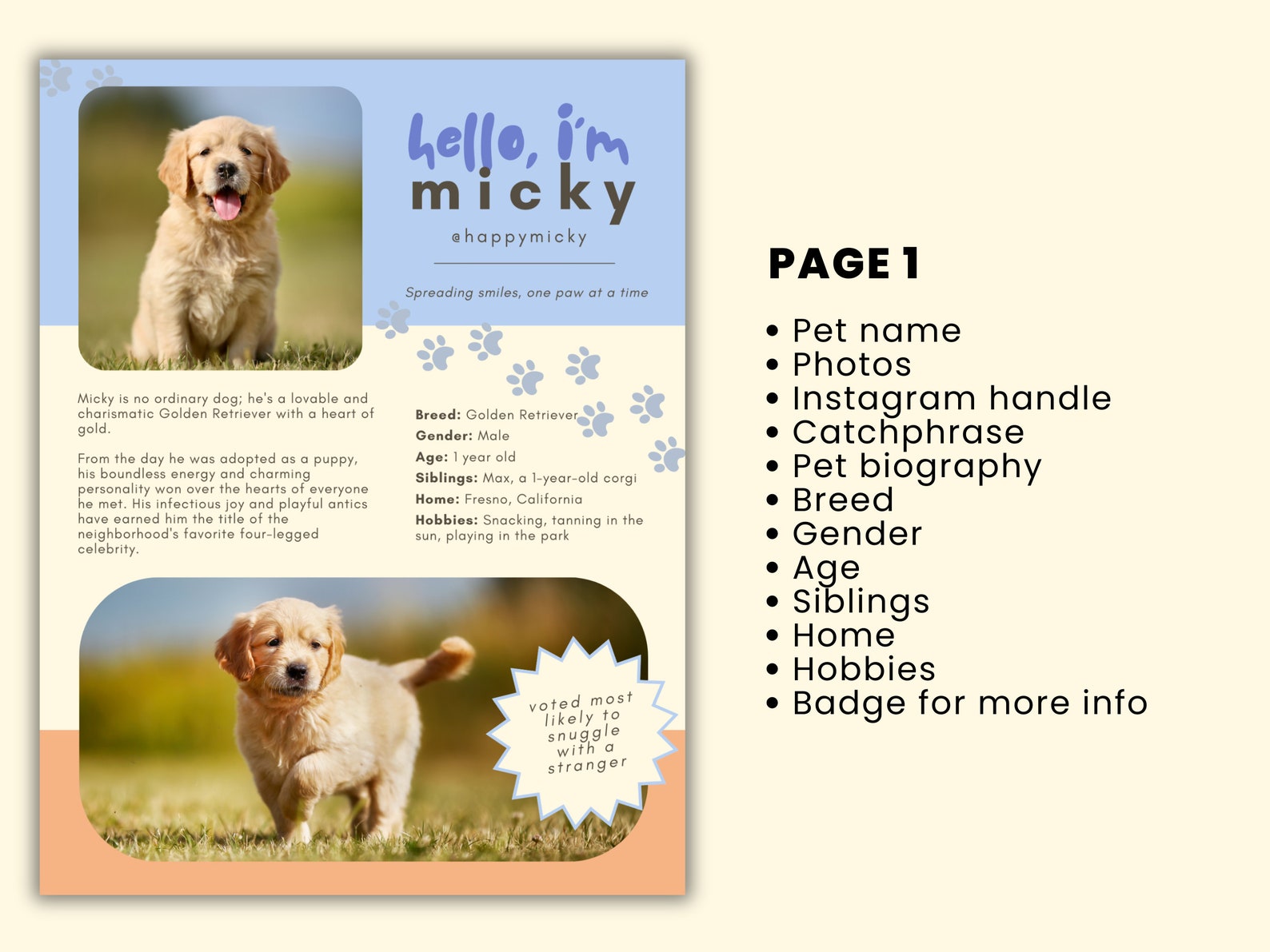 Pet Influencer Media Kit Canva Template Dogfluencer Pet Media Kit Rate ...