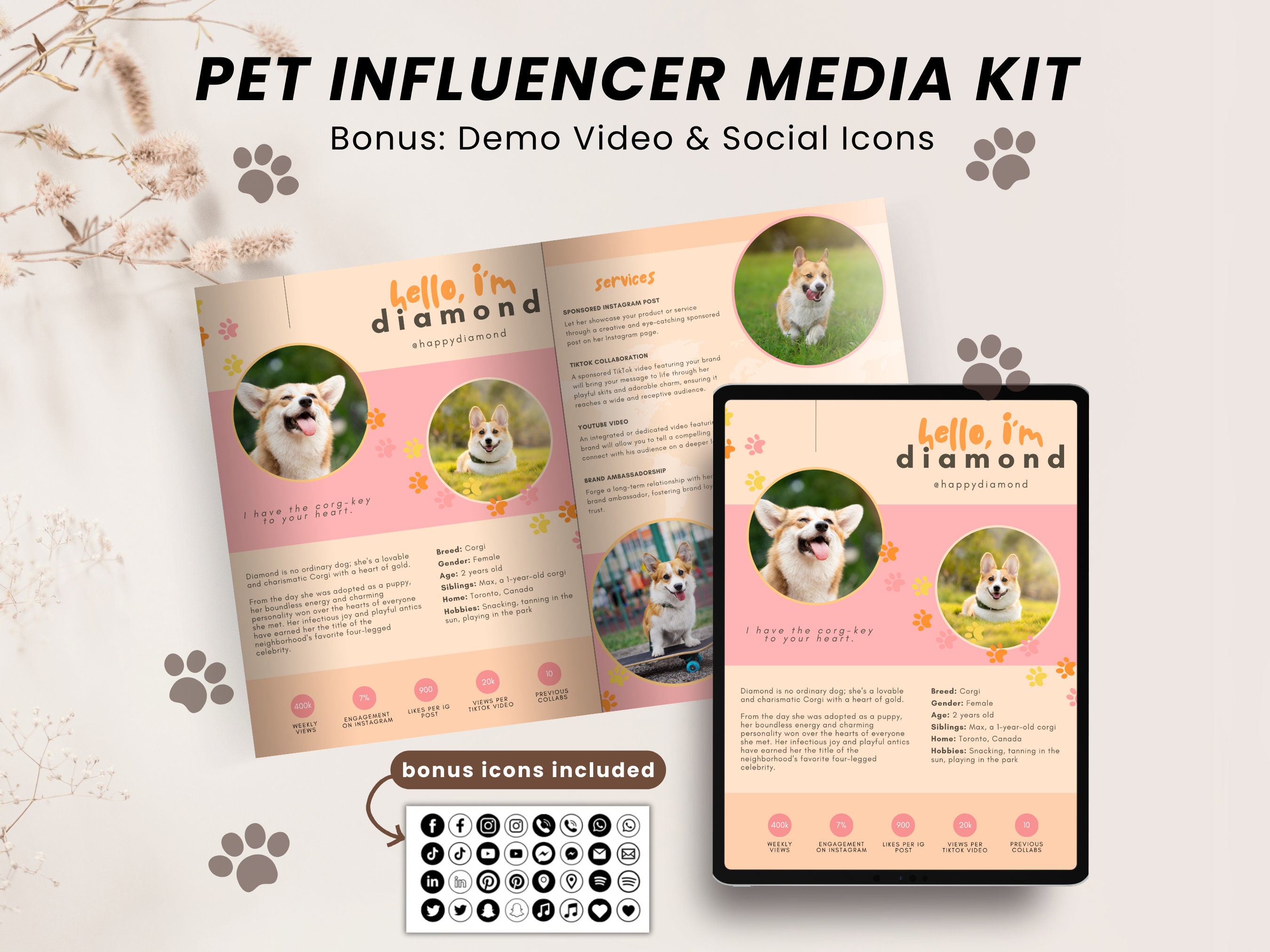 Pet Influencer Media Kit Canva Template Dogfluencer Pet Media Kit Rate ...