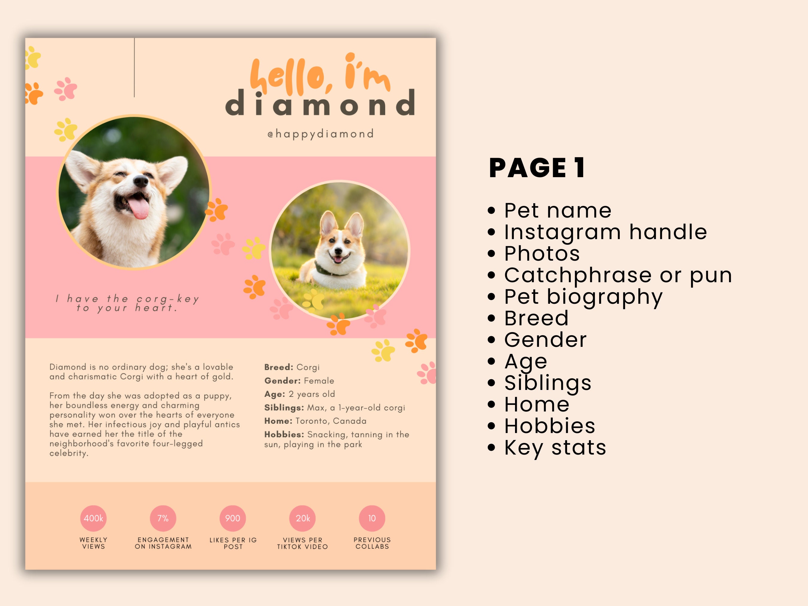 Pet Influencer Media Kit Canva Template Dogfluencer Pet Media - Etsy