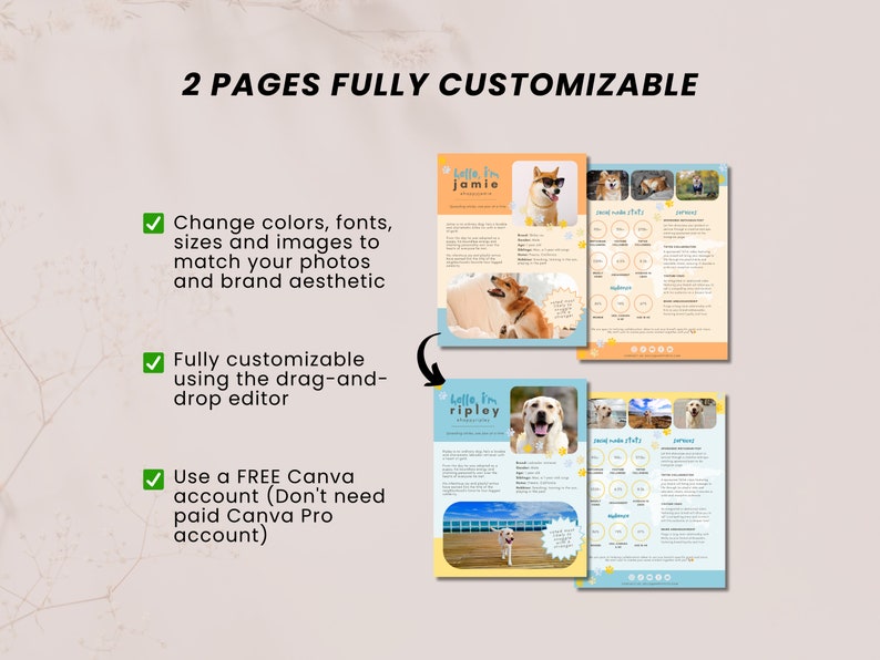 Pet Influencer Media Kit Canva Template Dogfluencer Pet Media Kit Rate ...