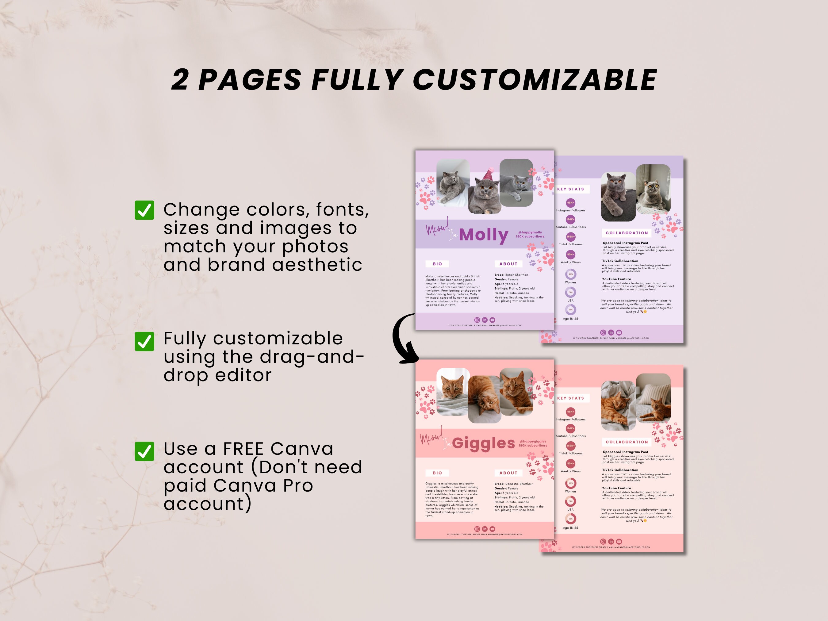Pet Influencer Media Kit Canva Template Cat Pet Media Kit Rate Sheet ...