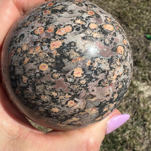 Leopard Skin Jasper - Etsy