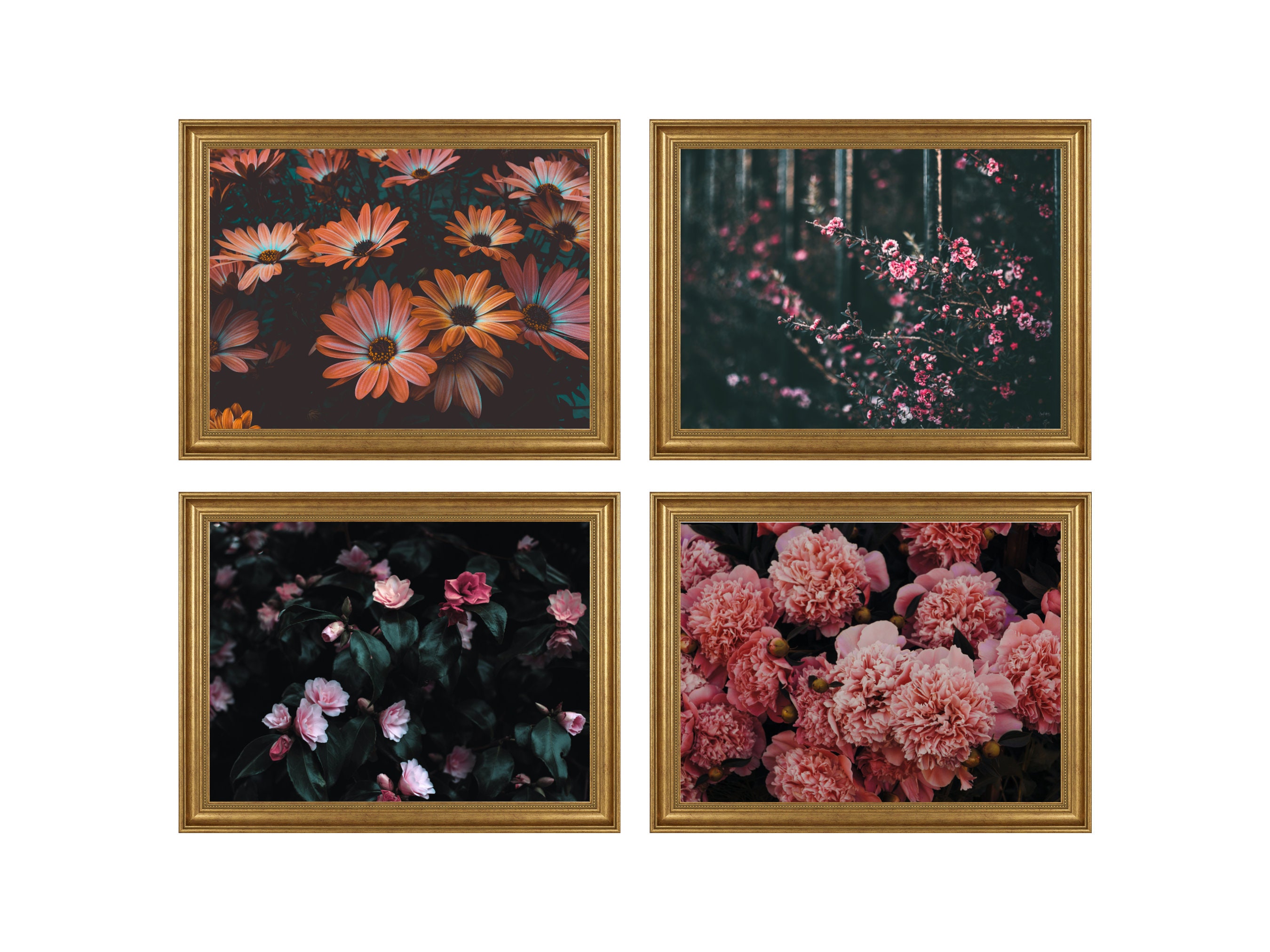 Flower Wall Collage Set Gallery Wall Art Kit Digital - Etsy