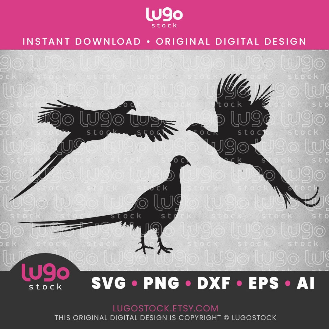 Pheasant Hunting SVG | Pheasant Silhouette | Pheasant Svg | Upland Game ...
