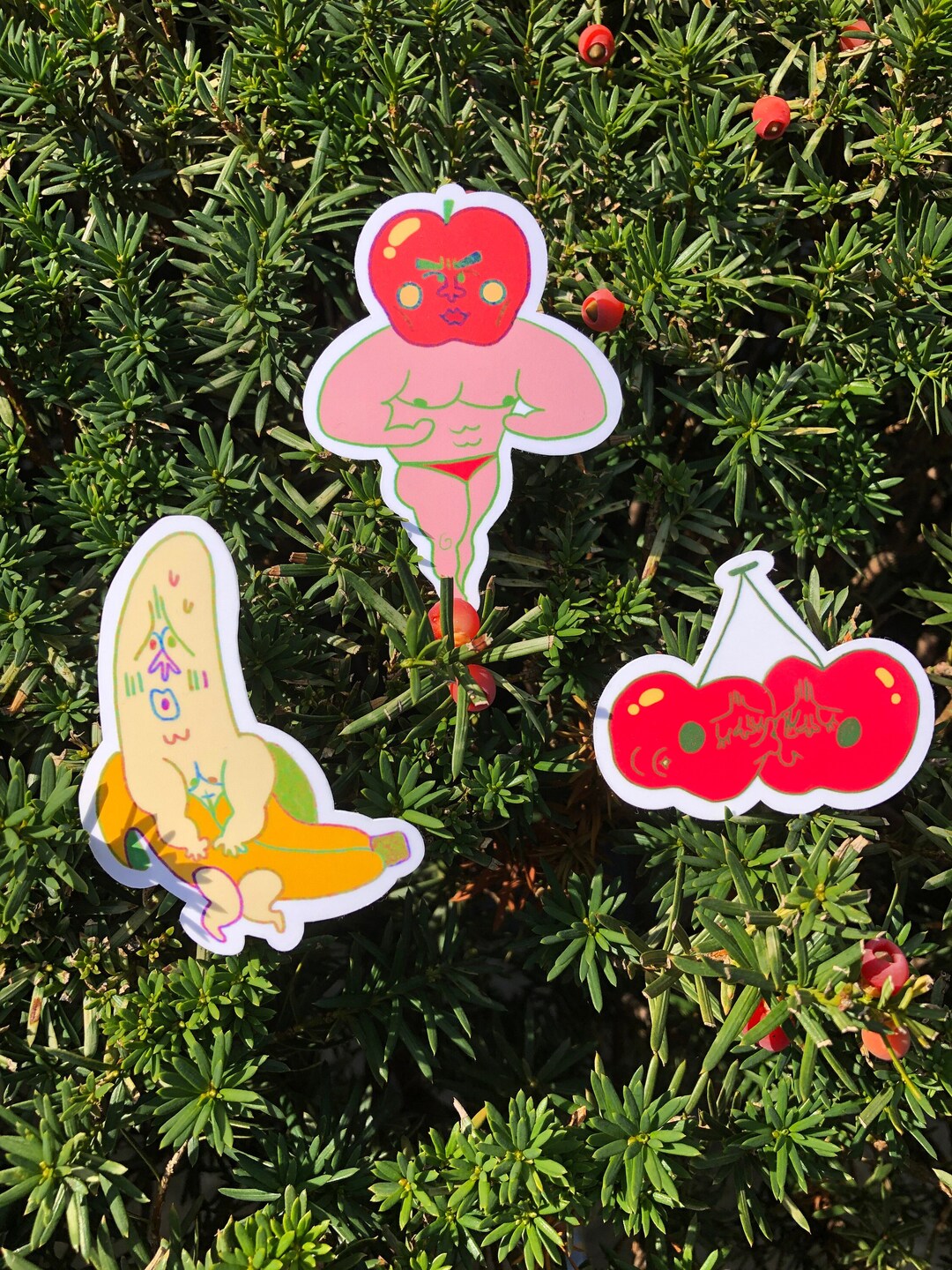 Buff Fruit Guys Stickers Cute Funny Waterproof for Water Bottle Glossy ...