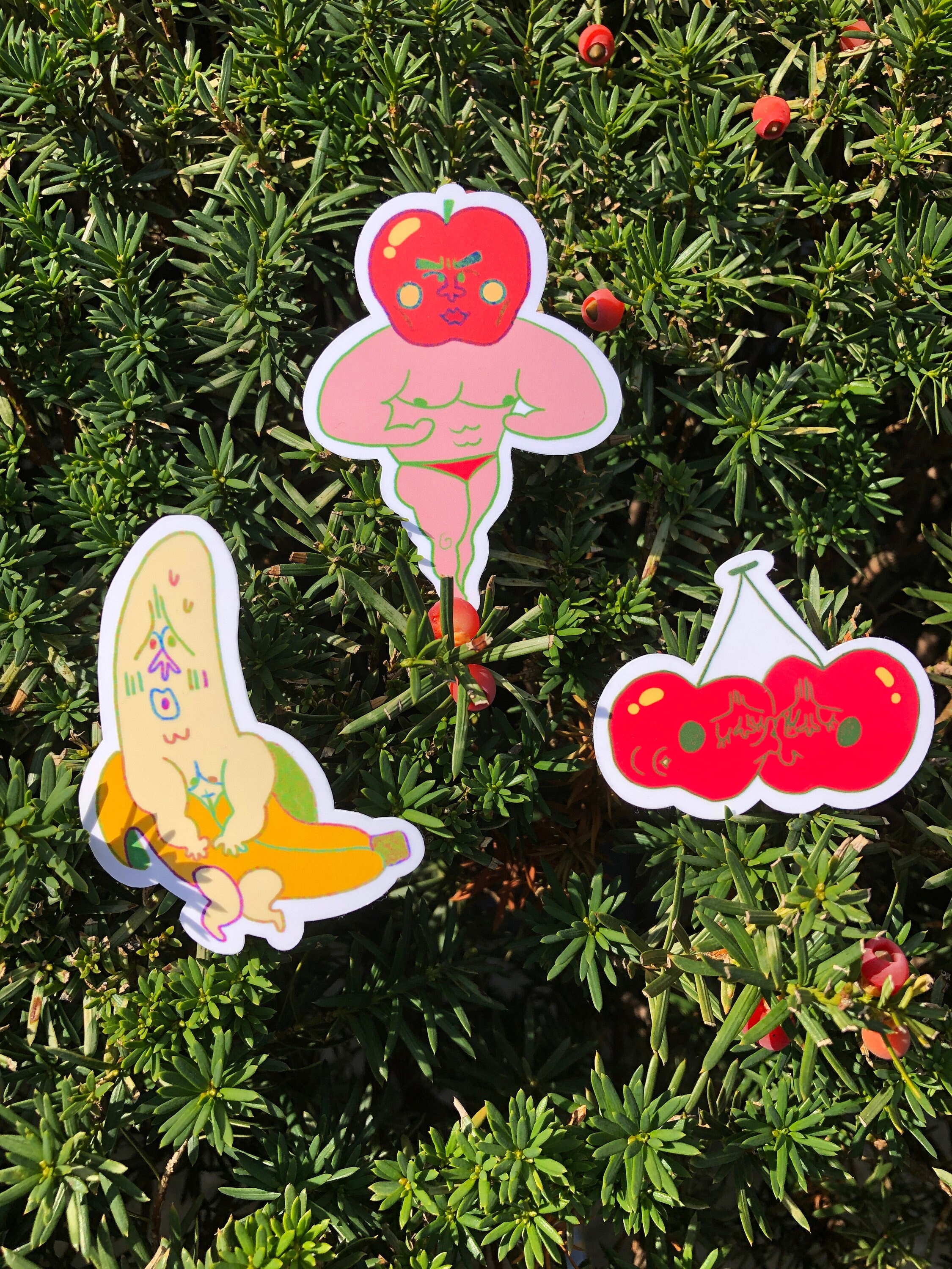 Buff Fruit Guys Stickers Cute Funny Waterproof for Water - Etsy