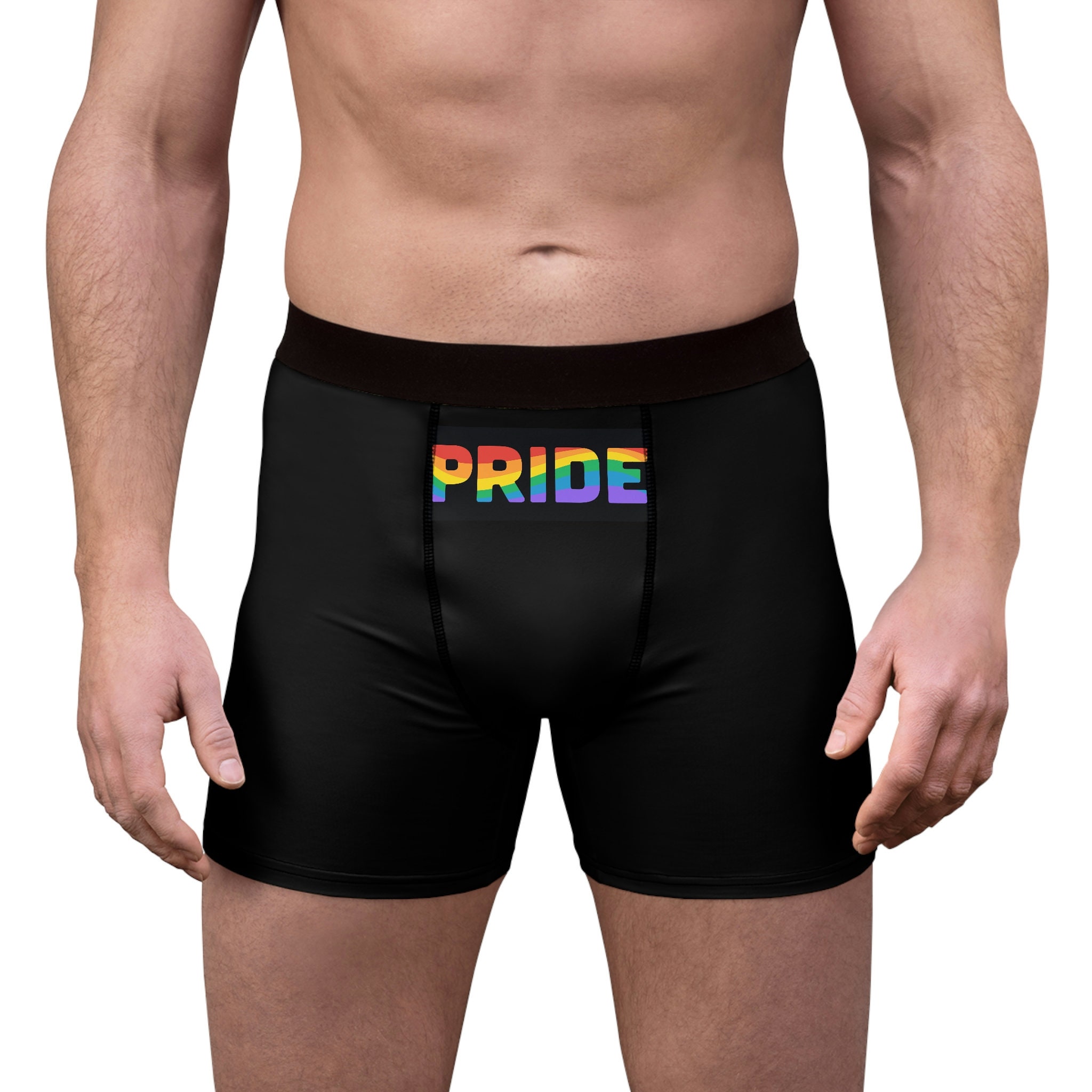 Pride, Men's Boxer Briefs, Lgbtq, Pride, Gay, Lesbian, Queer, Fundies ...