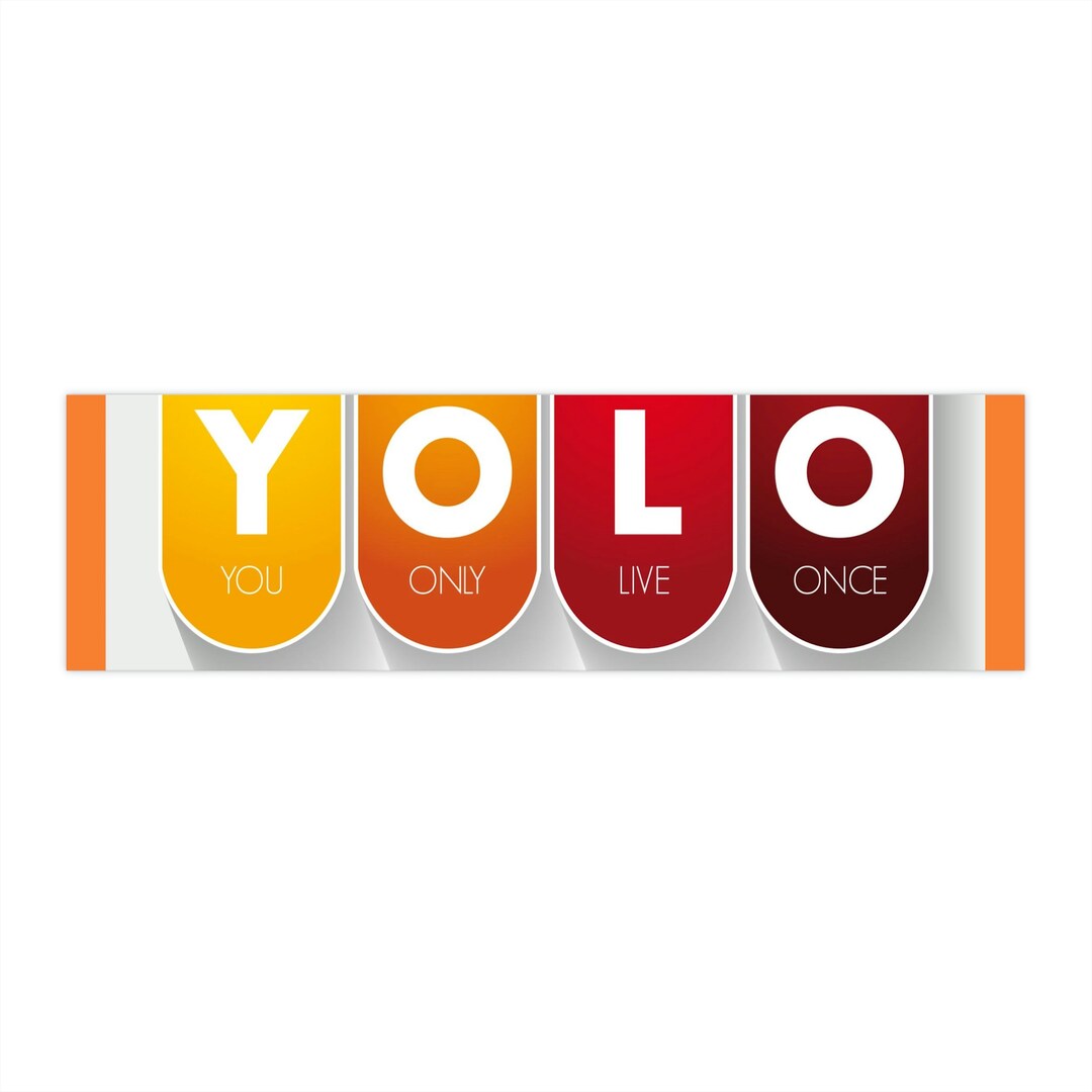 YOLO, Bumper Stickers, Yolo, Decal, Great Gift Idea - Etsy