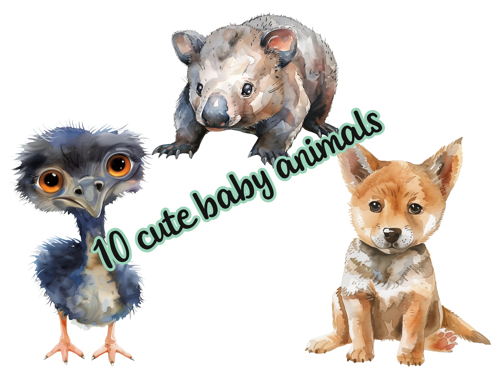 Cute Baby Australian Animals Watercolour Clipart, Digital Stickers ...