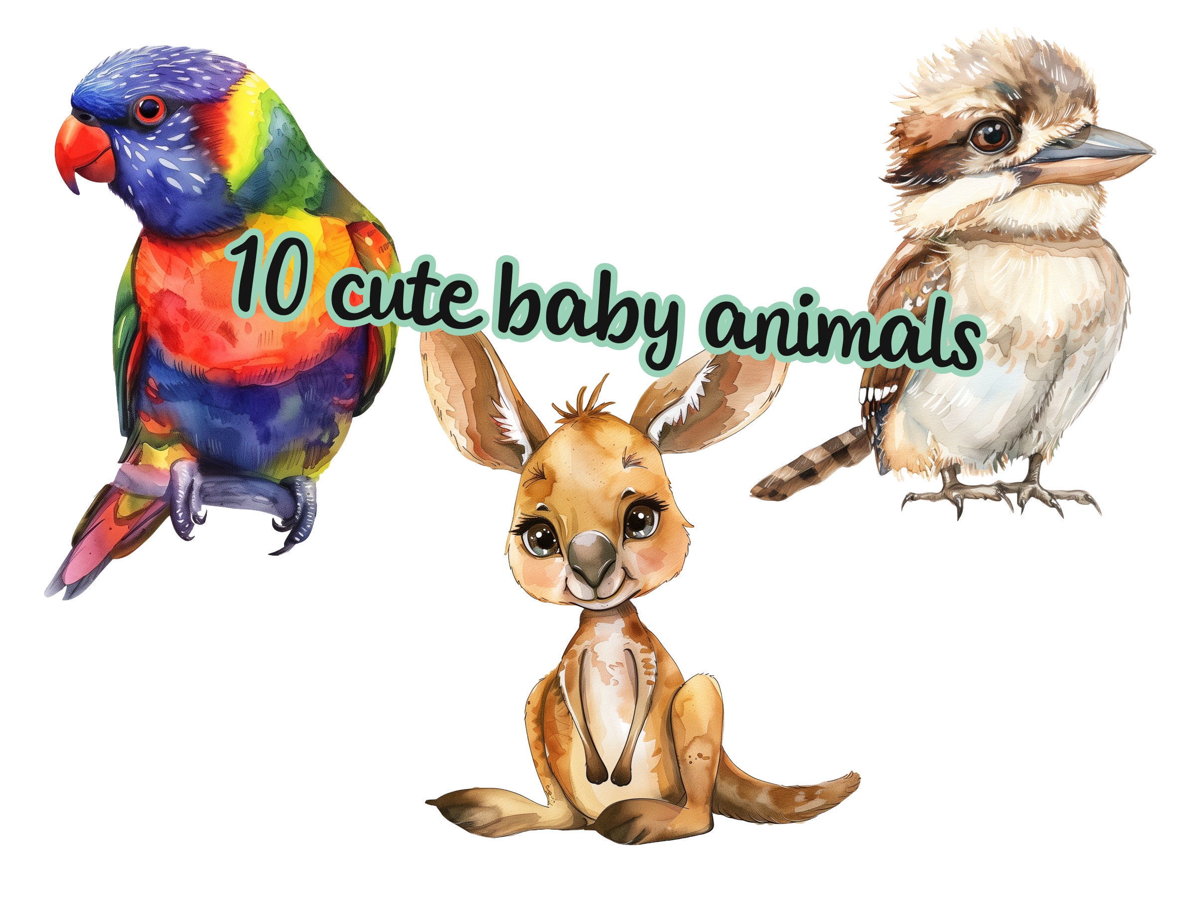 Cute Baby Australian Animals Watercolour Clipart, Digital Stickers - Etsy