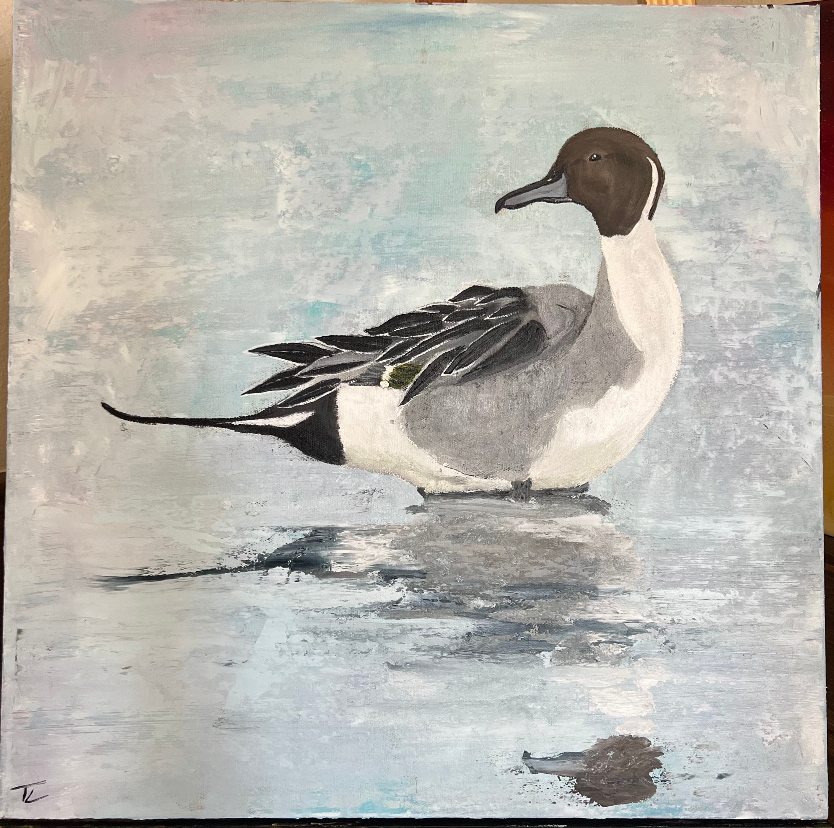Pintail Painting