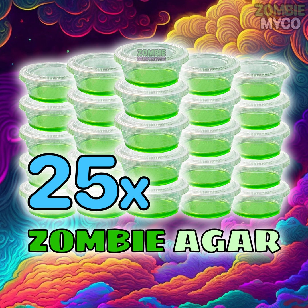 25x Agar Cups - 100% Sterile Agar Plates - Sorghum Yeast Agar - Etsy