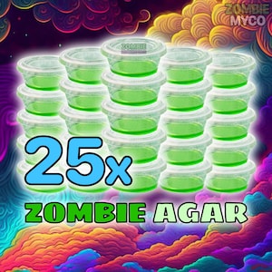 25x Agar Cups - 100% Sterile Agar Plates - Sorghum Yeast Agar - Etsy