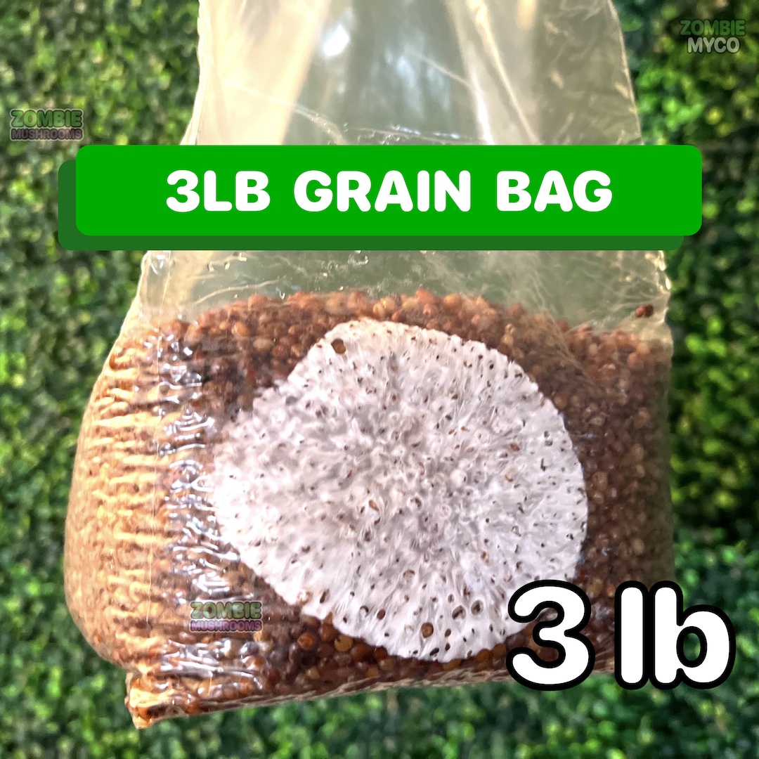 3lb - Grain Spawn Mushroom Bags - Etsy