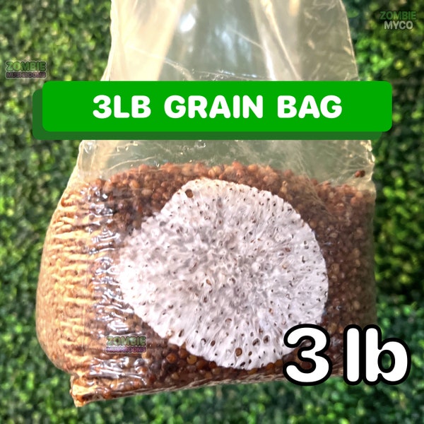Colonized Grain Spawn - Etsy