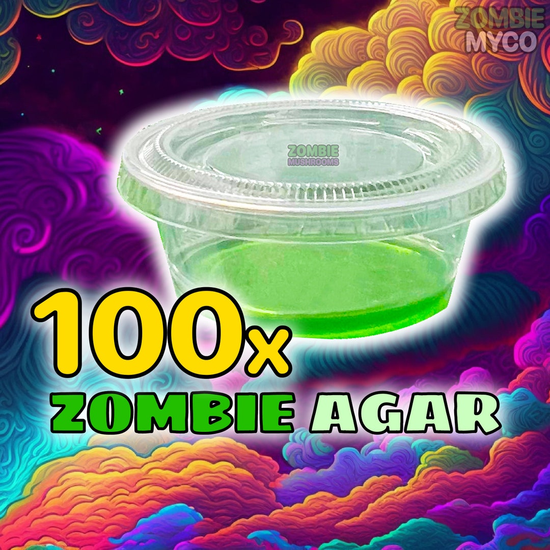 100x Agar Cups - 100% Sterile Agar Plates - Sorghum Yeast Agar - Etsy