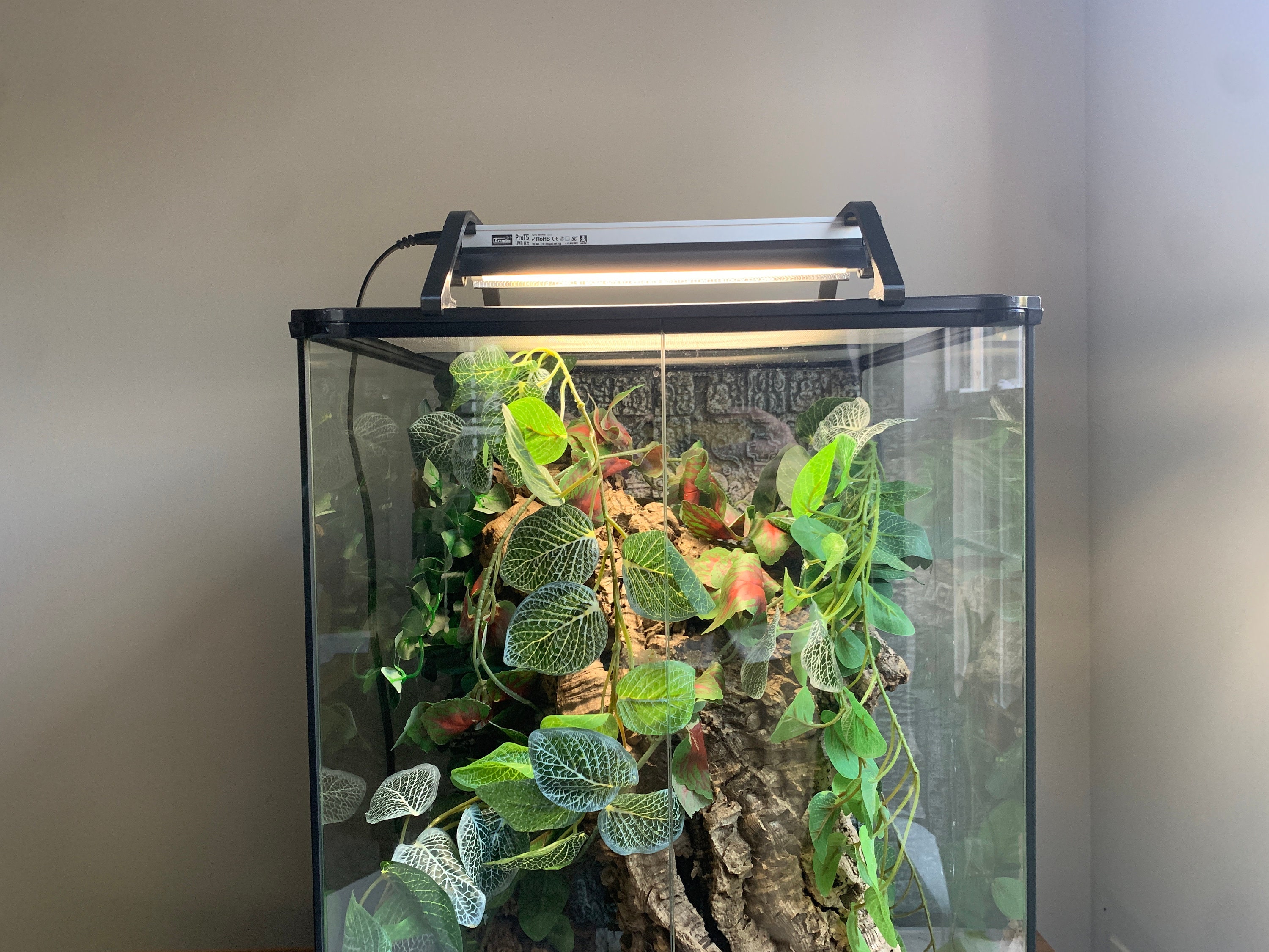 T5 UVB Light Stand for Exo-terra Terrariums small Large - Etsy