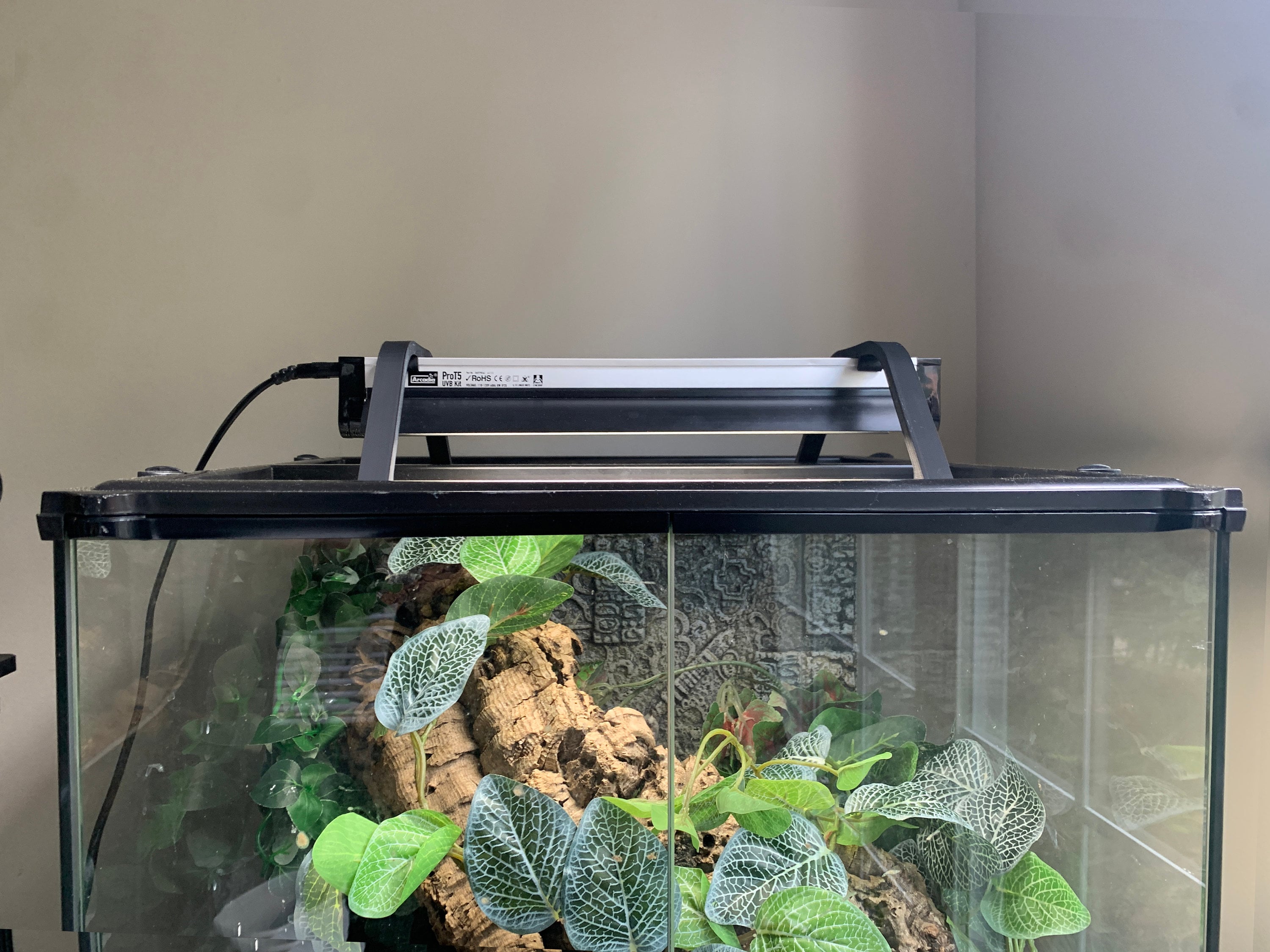 Universal T5 UVB Light Stand - Etsy