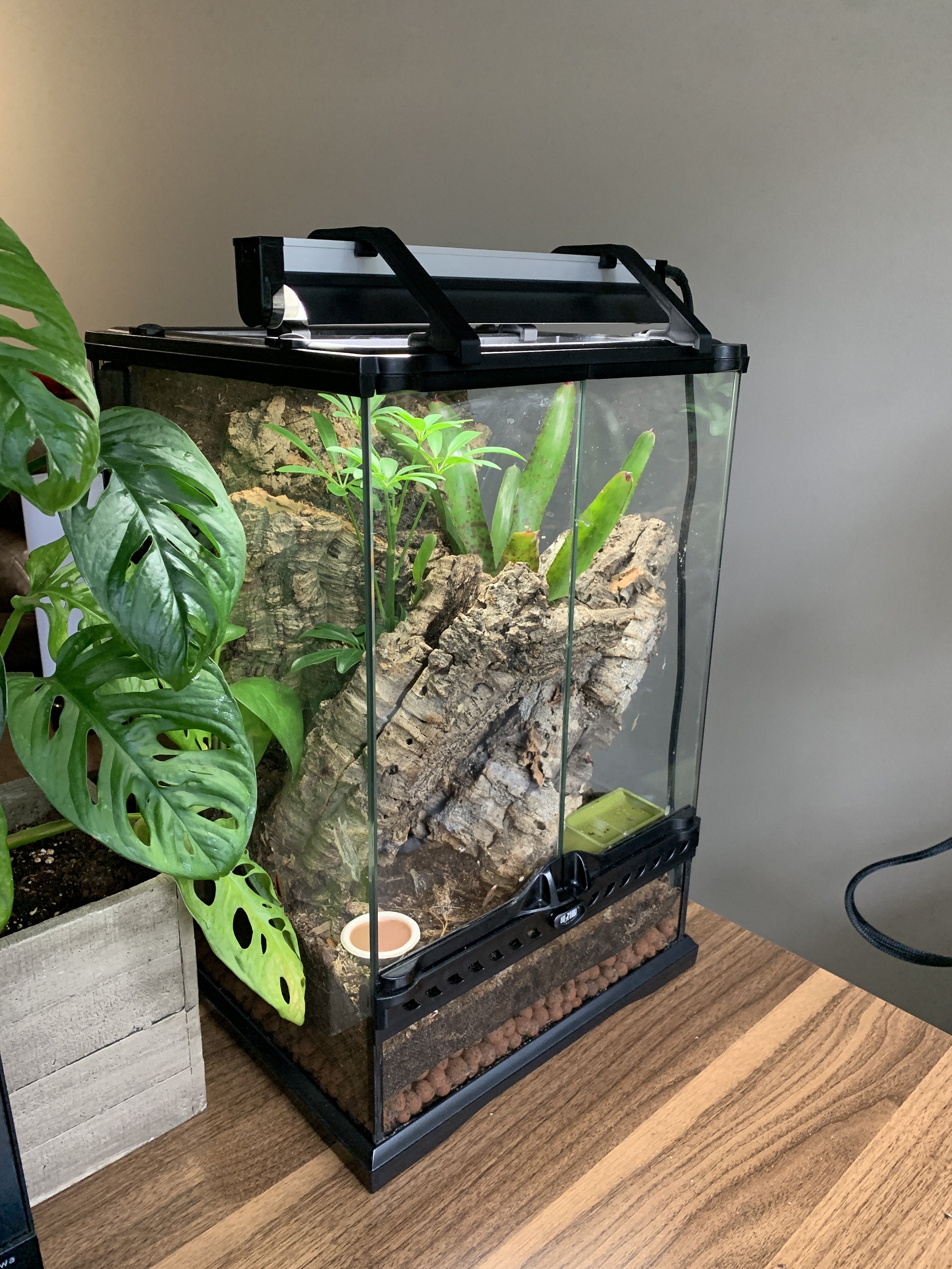 T5 UVB Light Stand for Exo-terra Terrariums (nano) - Etsy