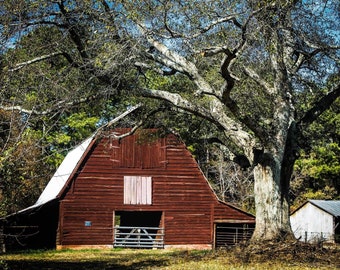Original Print Barn in A Field in Rural Georgia Black & White ...