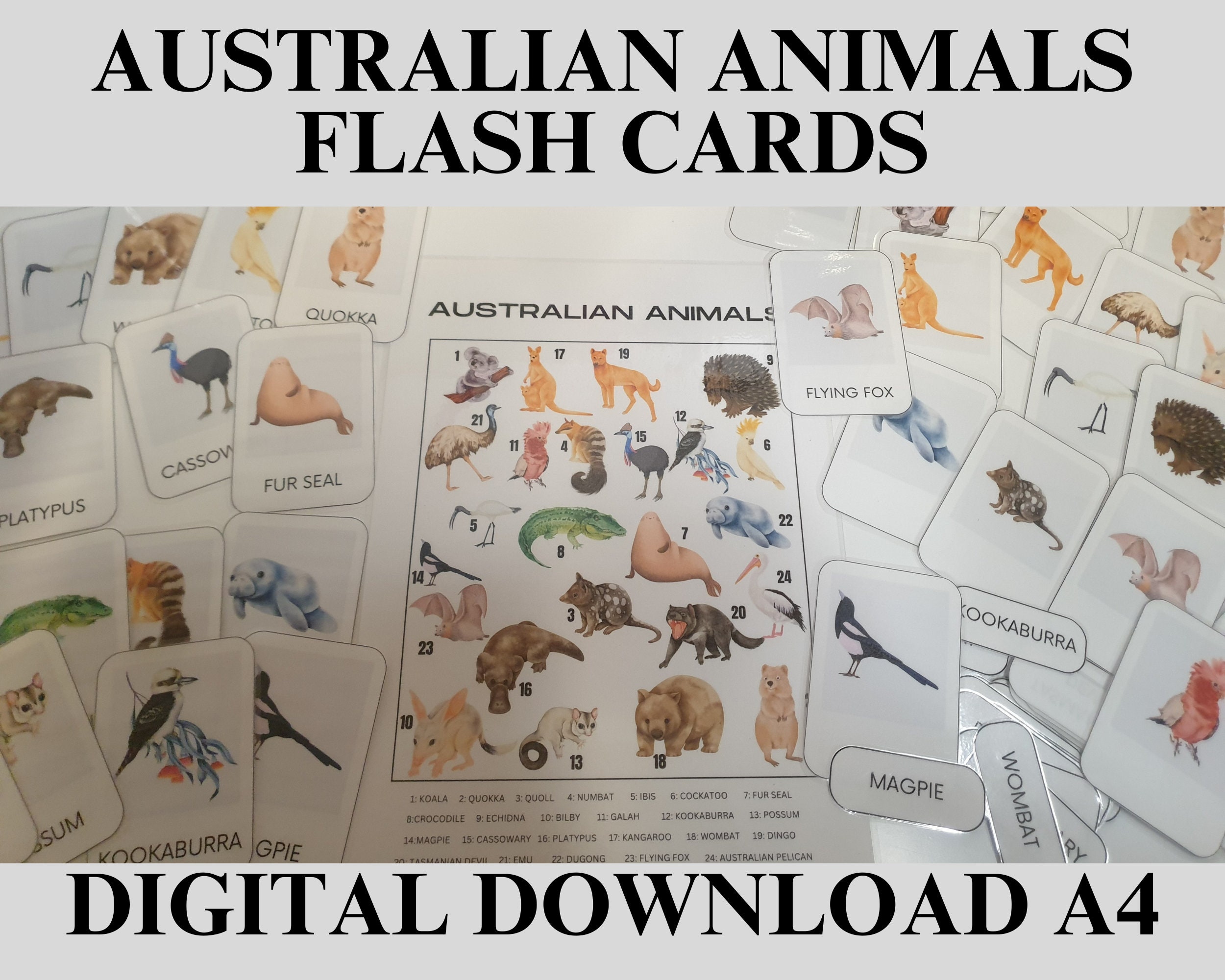 Australian Animals Flash Cards at Joann Robertson blog